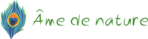 Revenir à l'unité, c'est revenir à soi - Ame de nature